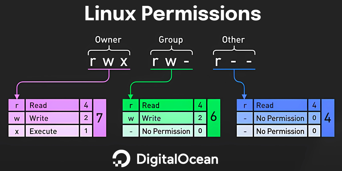 How To Set Permissions In Linux A Guide To Chmod And Chown Digitalocean